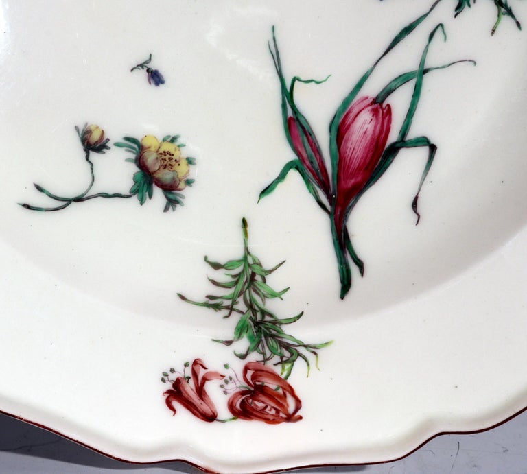 18th Century Antique Chelsea Porcelain Massive Botanical Dish, Red ...