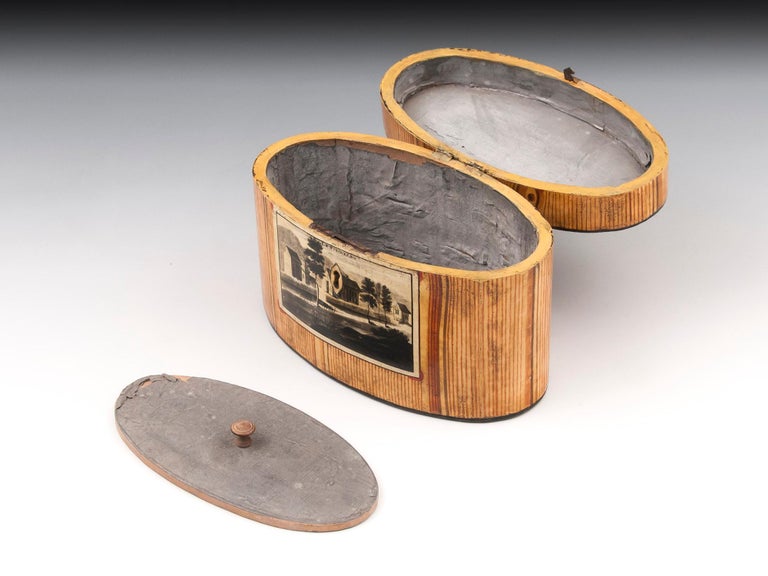 18th Century, Antique Oval Spa Tea Caddy For Sale at 1stDibs