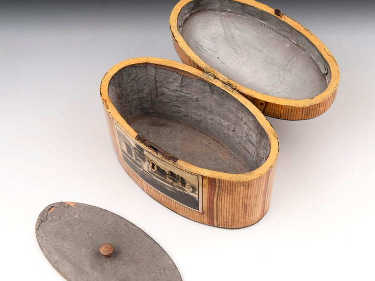 18th Century, Antique Oval Spa Tea Caddy For Sale at 1stDibs