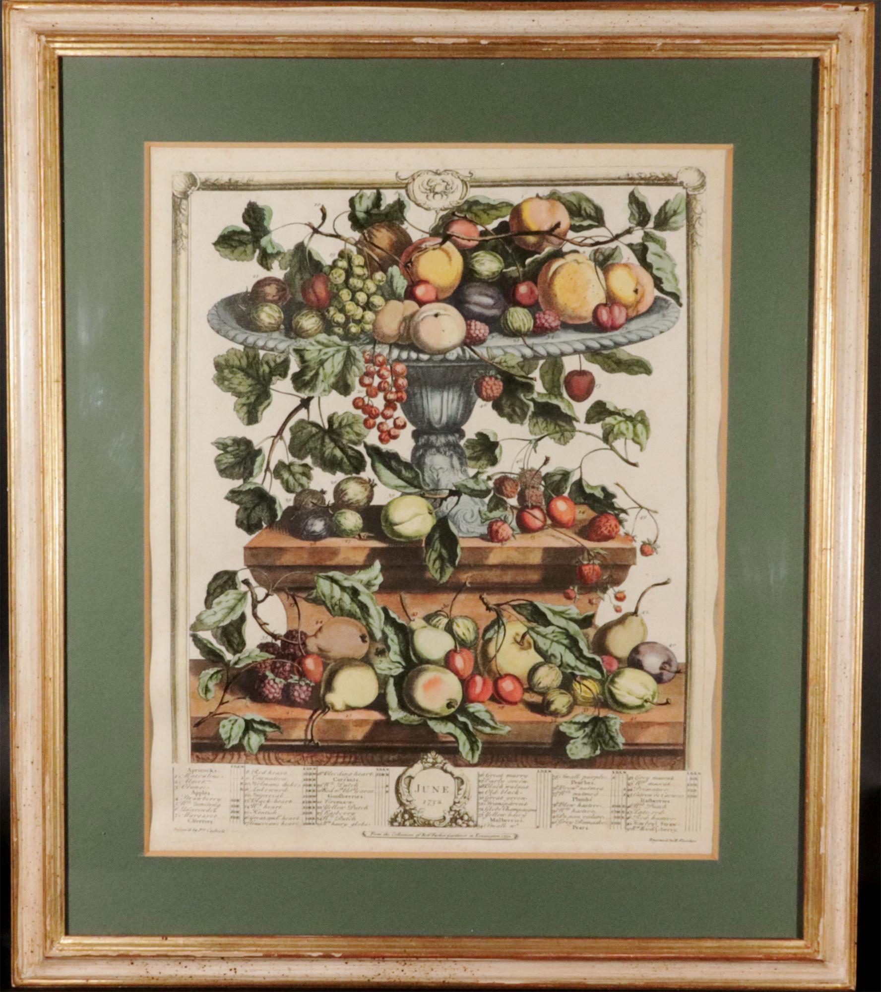 18th-century Botanical Engraving, Twelve Months of Fruit- June, Robert ...