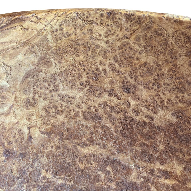 18th Century Early American Ash Burl Bowl For Sale at 1stDibs