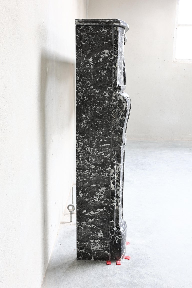 18th Century Fireplace of Saint Anna Marble from Belgium, in Louis XV ...