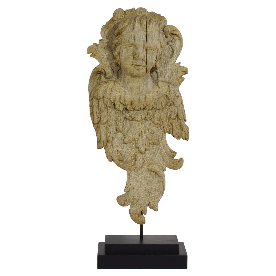 18th Century Italian Angel Wing with Gold Kyanite on an Aragonite ...