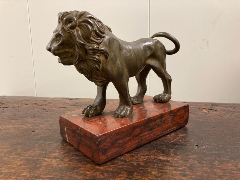 18th Century French Bronze Lion on a Rouge Antico Marble Base at 1stDibs