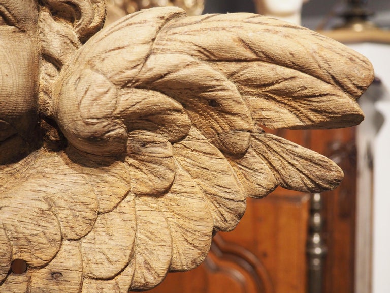 18th Century French Oak Winged Cherub Carving on Stand For Sale at 1stDibs