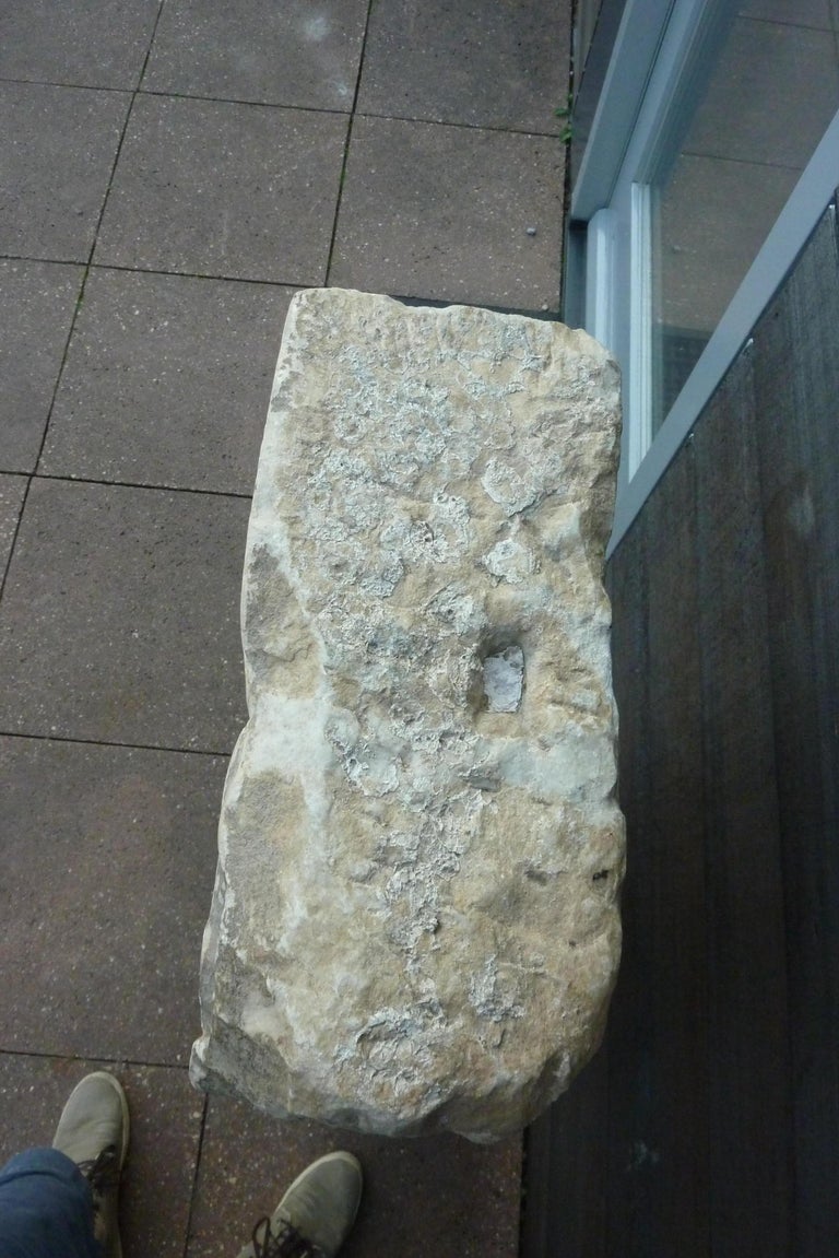 18th Century Chinese Hand Carved Marble Block with Lingzhi Fungus ...