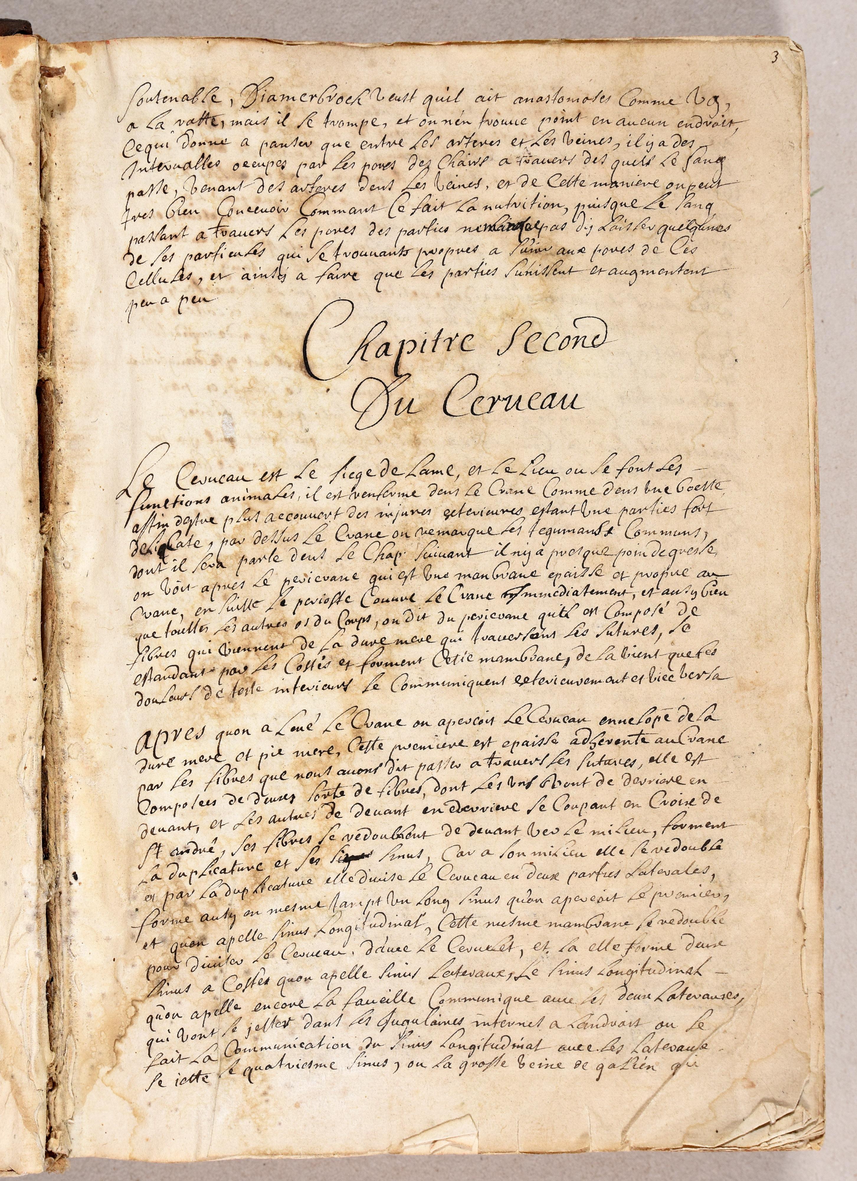 18th century hand written French manuscript on human anatomy, surgical ...