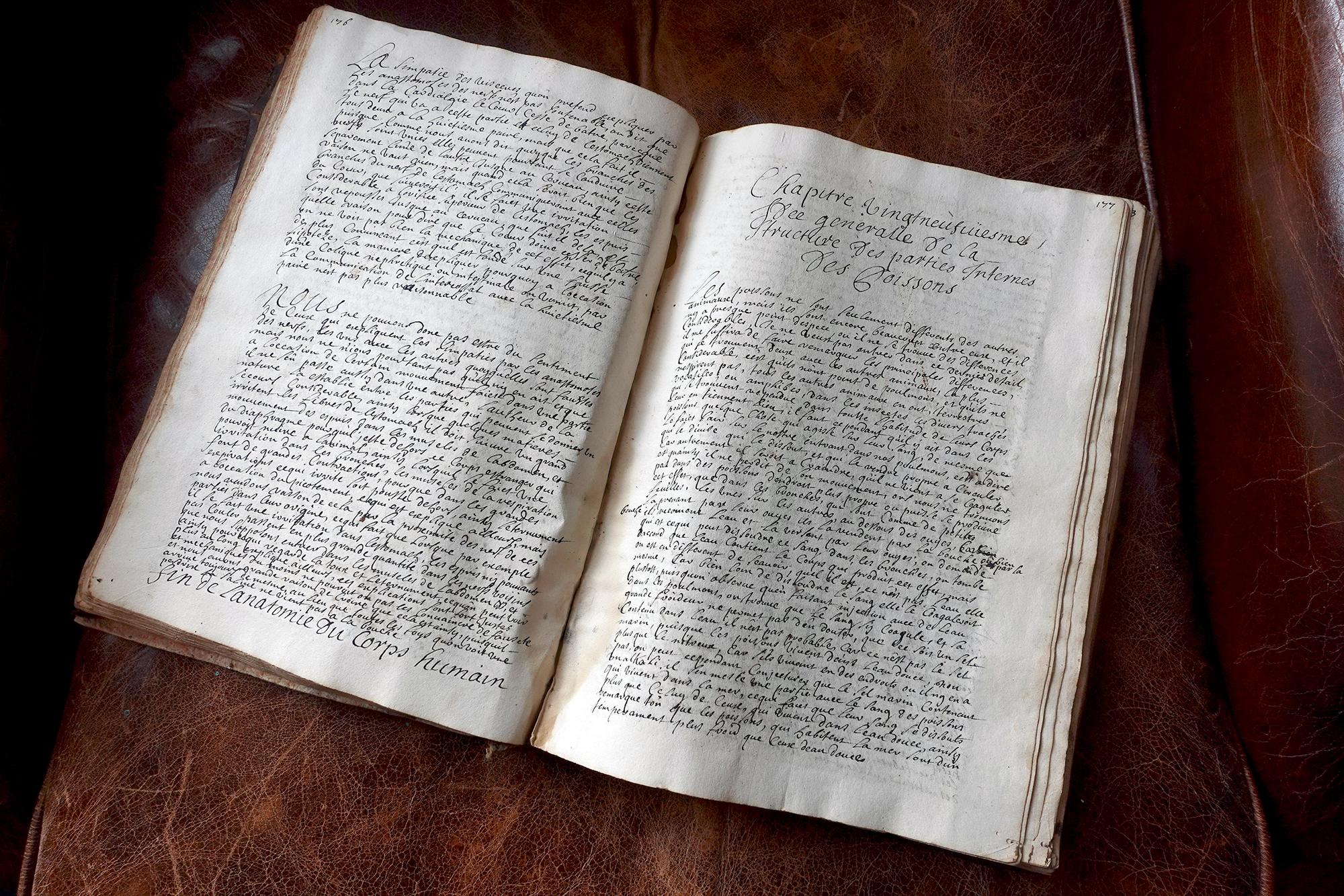 18th century hand written French manuscript on human anatomy, surgical ...