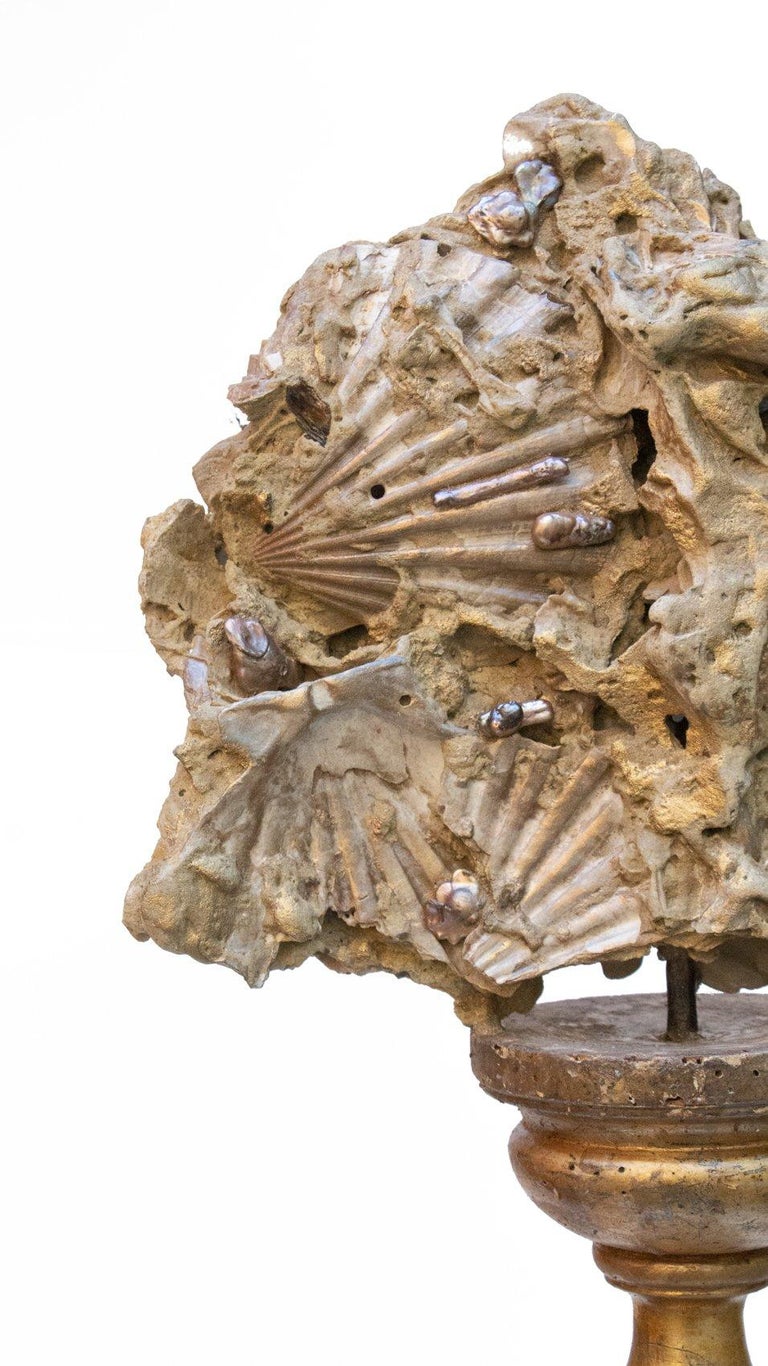 18th Century Italian Altar Stick with a Chesapecten Fossil Shell and ...