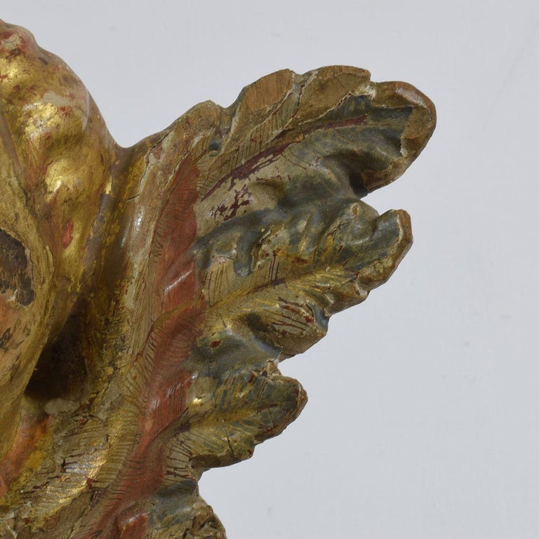 18th Century Italian Baroque Carved Wooden Angel Head on a Wing at 1stDibs