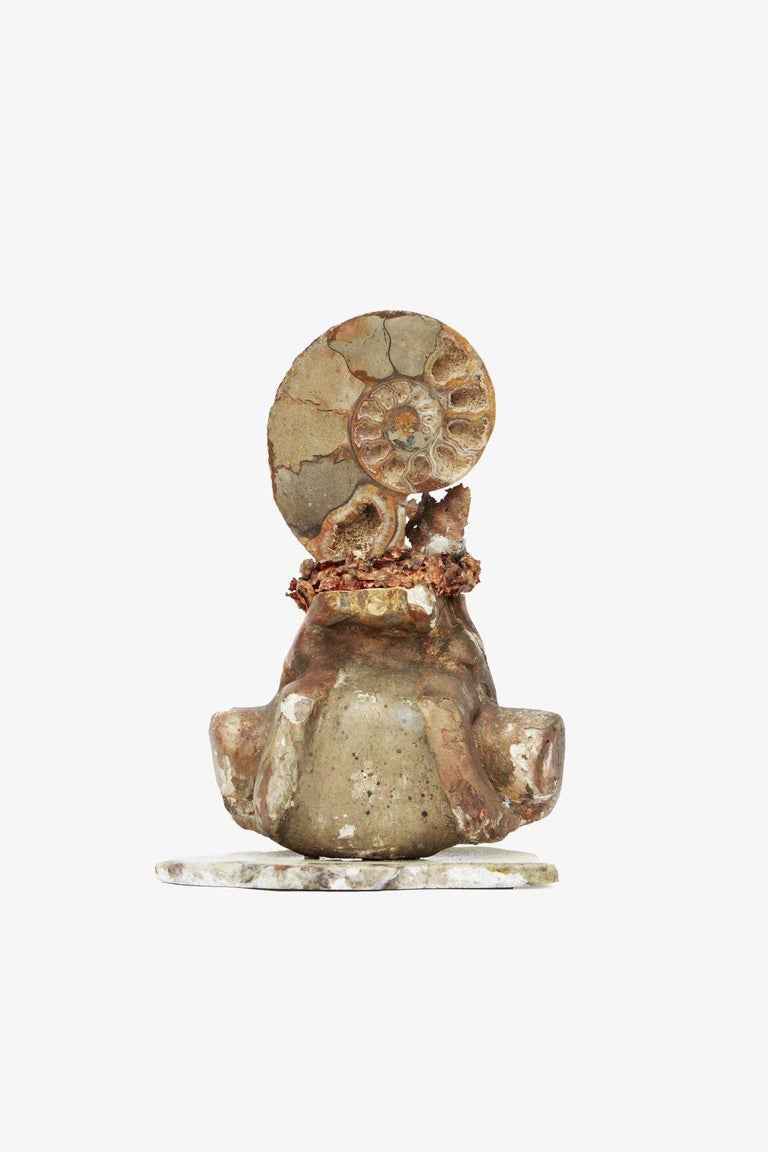 18th Century Italian Bases with Polished Fossil Ammonites For Sale at ...