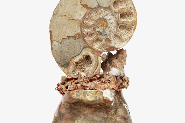 18th Century Italian Bases with Polished Fossil Ammonites For Sale at ...