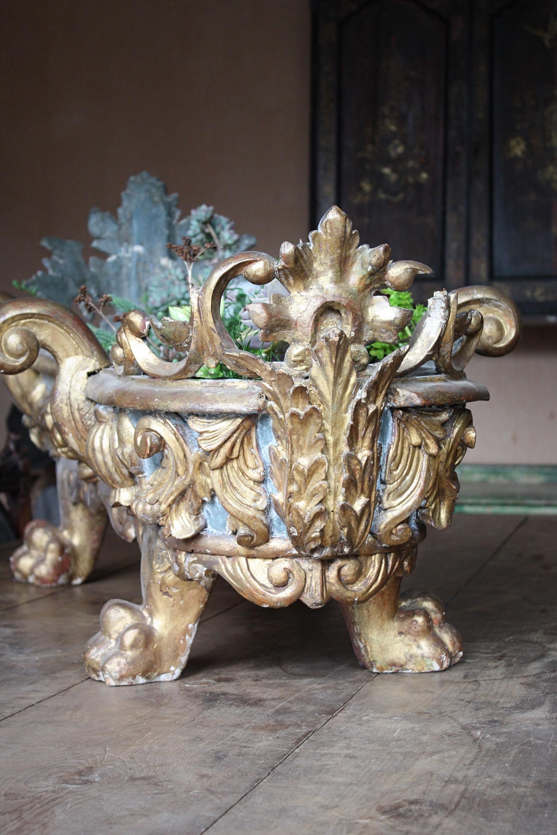 18th Century Italian Carved Gilt and Teal Open Casket Memento Mori ...