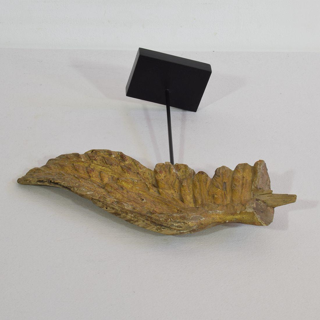 18th Century, Italian Carved Wooden Wing of a Baroque Angel at 1stDibs