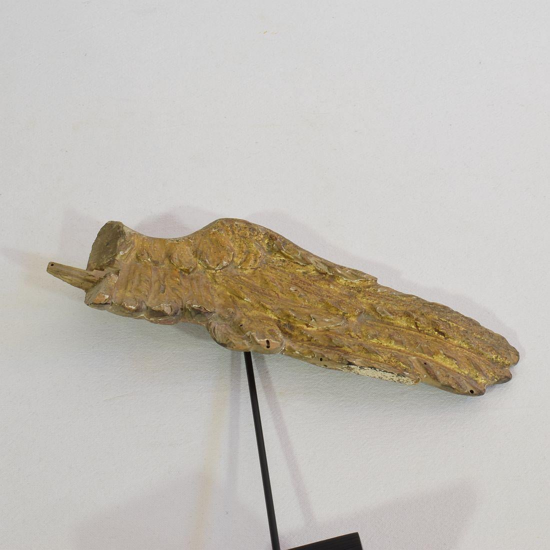 18th Century, Italian Carved Wooden Wing of a Baroque Angel at 1stDibs
