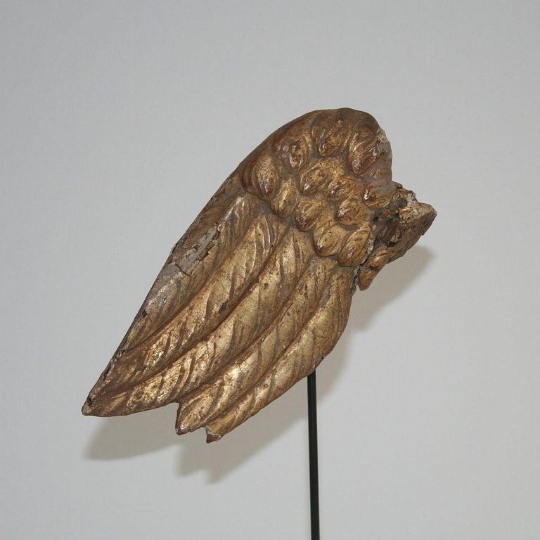 18th Century Italian Carved Wooden Wing of a Baroque Angel at 1stDibs