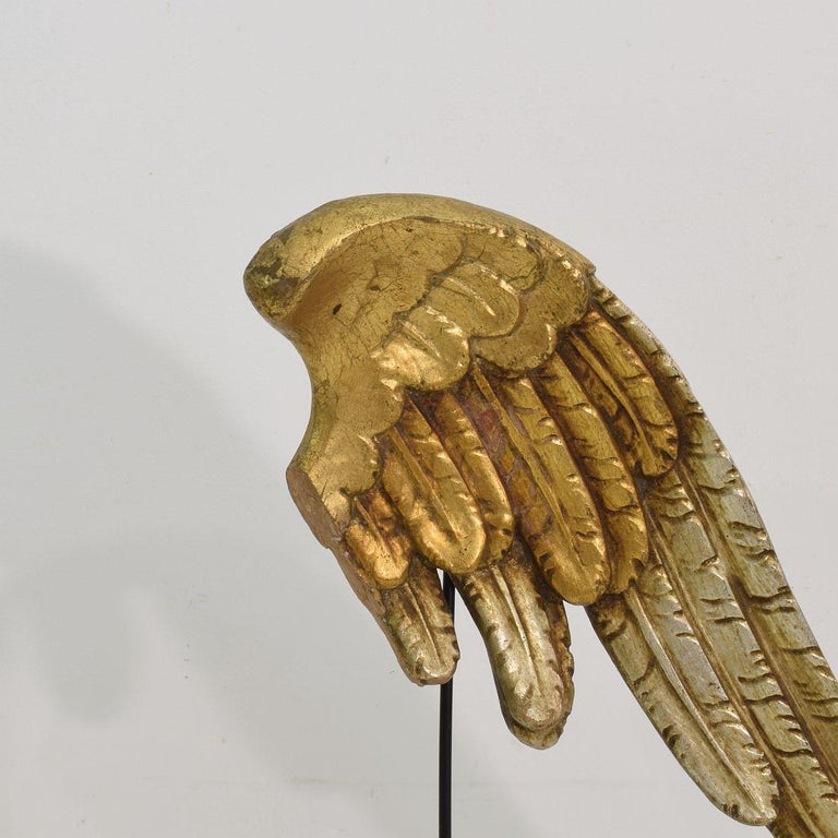 18th Century, Italian Carved Wooden Wing of a Baroque Angel at 1stDibs