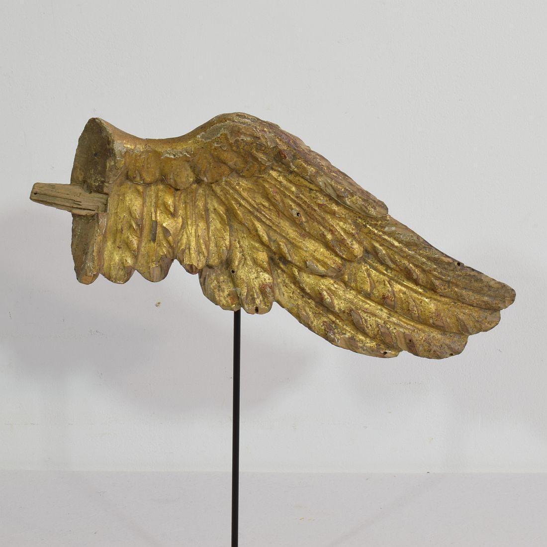 18th Century, Italian Carved Wooden Wing of a Baroque Angel at 1stDibs