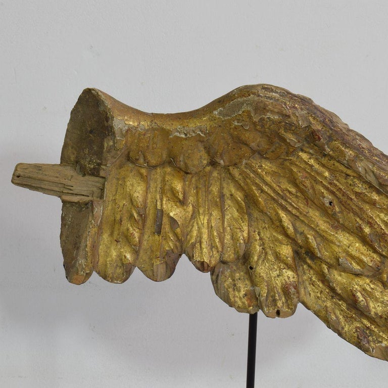 18th Century, Italian Carved Wooden Wing of a Baroque Angel at 1stDibs