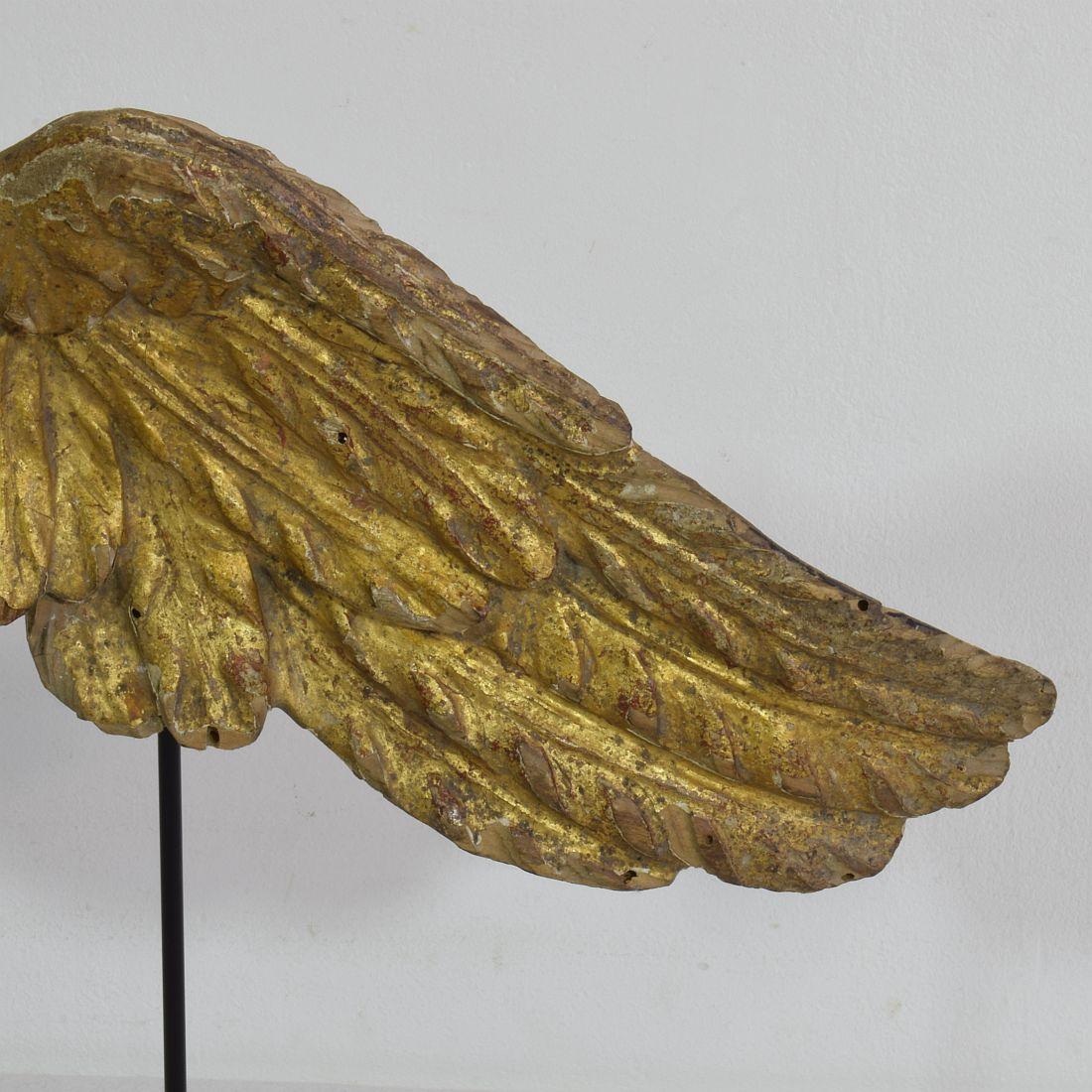 18th Century, Italian Carved Wooden Wing of a Baroque Angel at 1stDibs