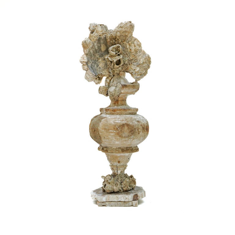 18th Century Italian 'Florence Fragment' Vase with Fossil Barnacle ...