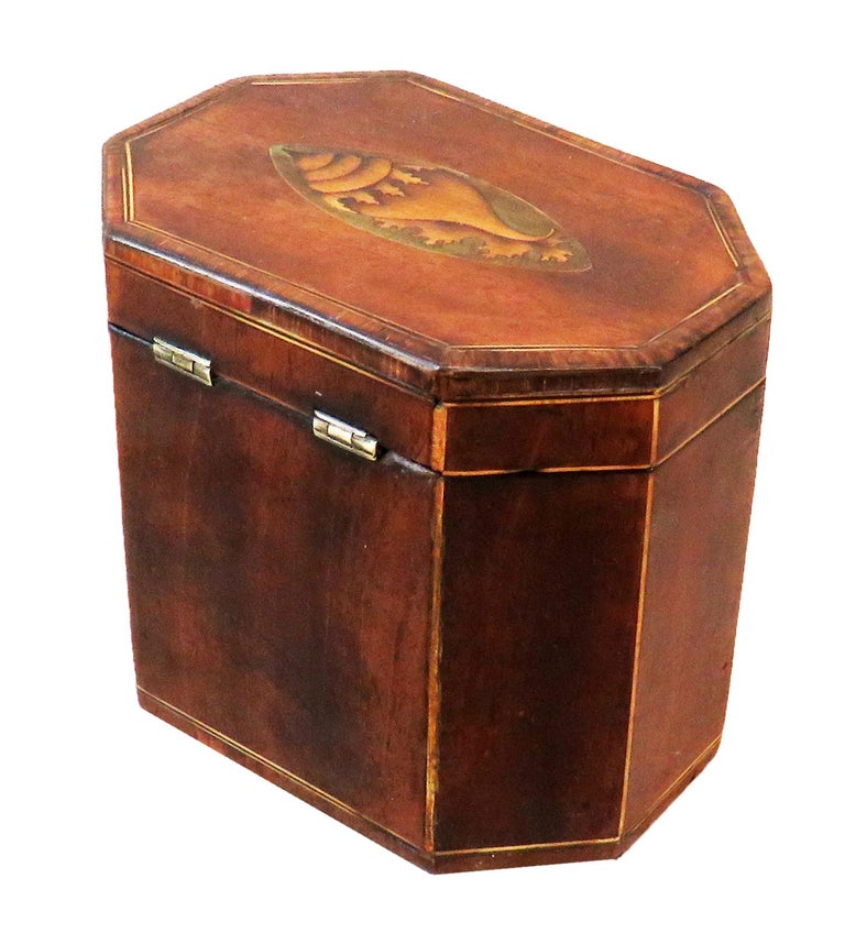 18th Century Mahogany Octagonal Shaped Antique Tea Caddy at 1stDibs