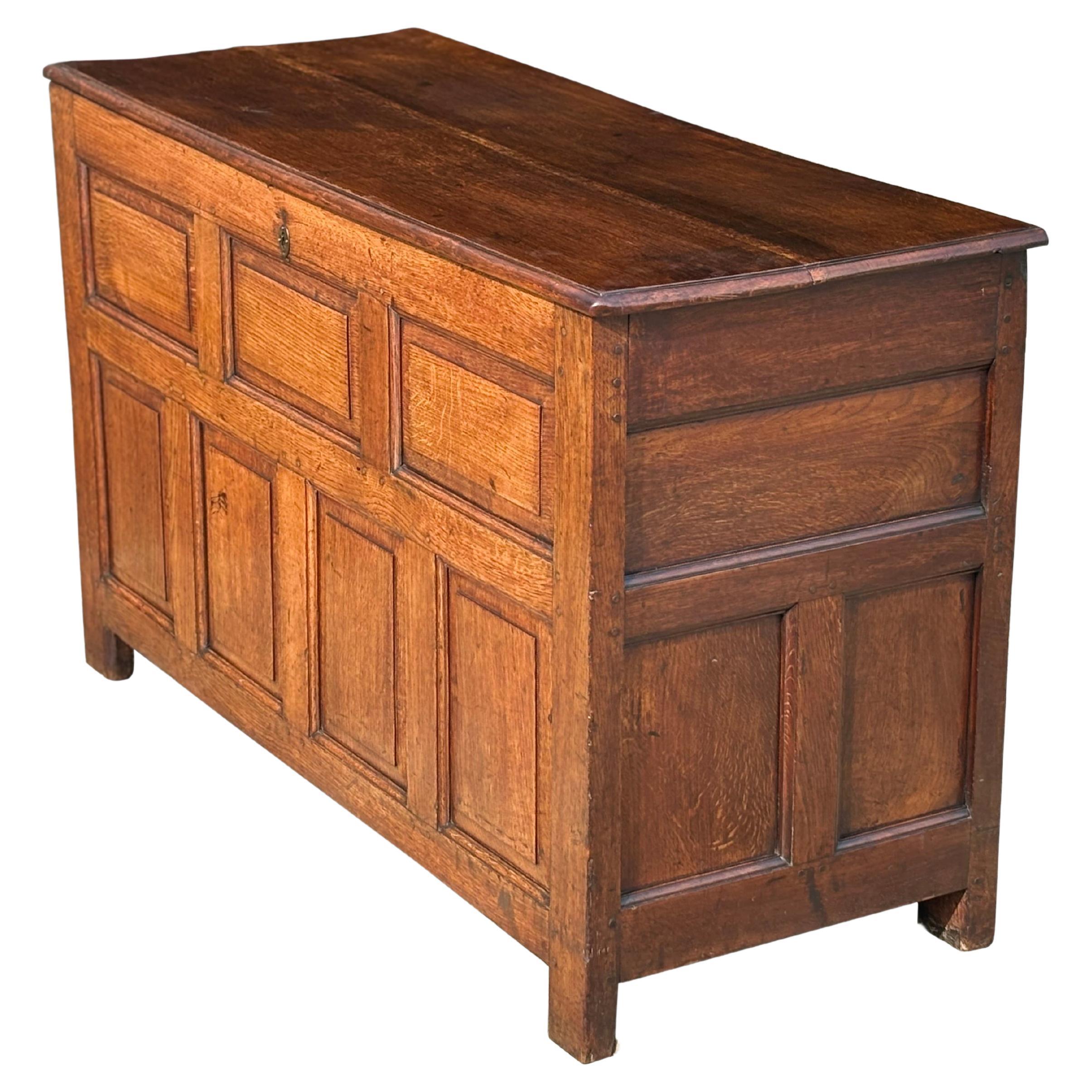 18th Century Oak Panelled Mule Chest For Sale at 1stDibs