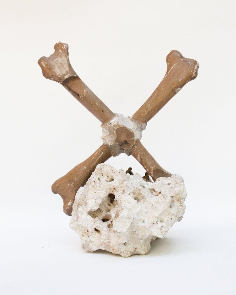 18th Century Painted Church Bone Decoration on Fossil Coral with ...