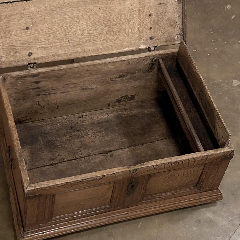 18th Century Rustic Dutch Trunk ~ Coffee Table For Sale at 1stDibs ...
