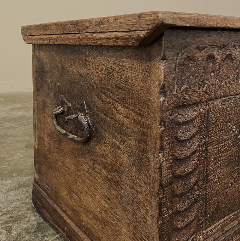18th Century Rustic Dutch Trunk For Sale at 1stDibs
