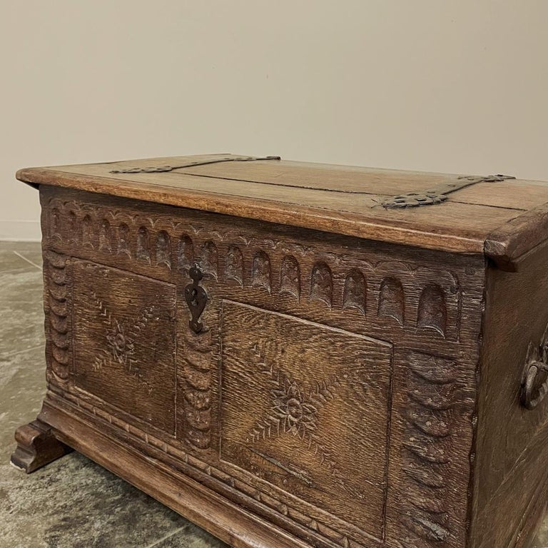 18th Century Rustic Dutch Trunk For Sale at 1stDibs