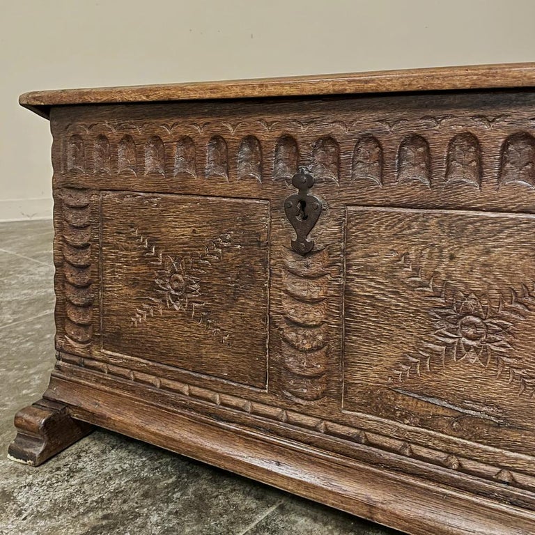 18th Century Rustic Dutch Trunk For Sale at 1stDibs