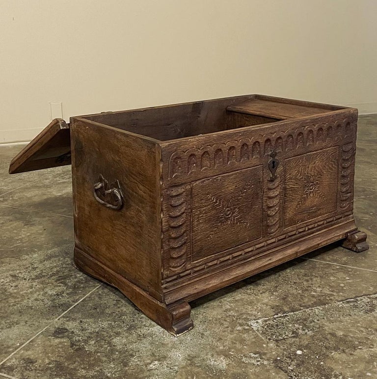 18th Century Rustic Dutch Trunk For Sale at 1stDibs