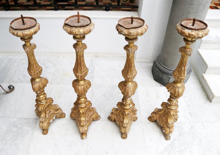 18th Century Set of Four Spanish Gold Gilded Wooden Pricket Sticks at ...