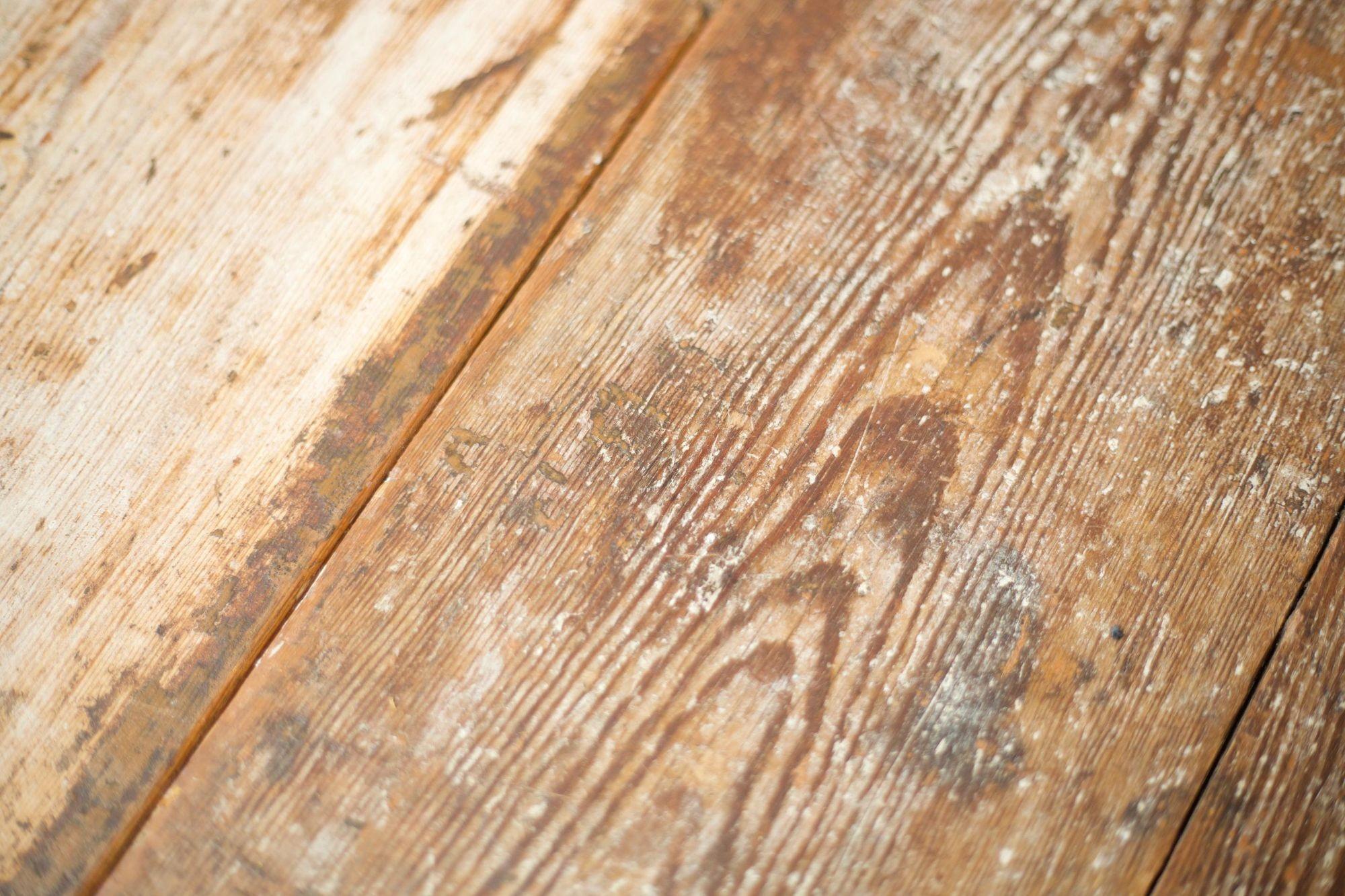 18th Century Swedish Gate Leg Table For Sale at 1stDibs
