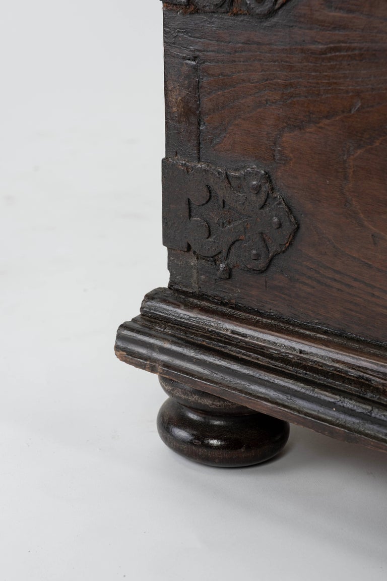 18th Century Walnut Trunk For Sale at 1stDibs