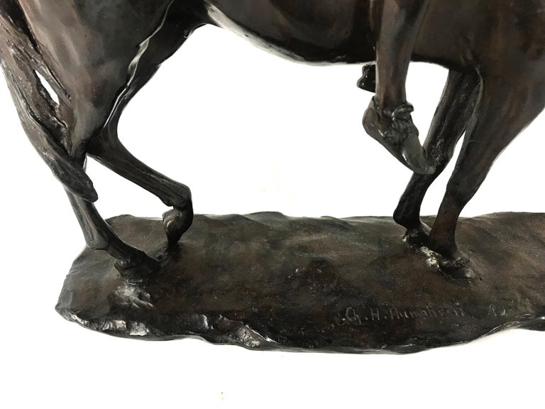 1904 Antique Bronze Sculpture Native American on Horseback by Charles ...