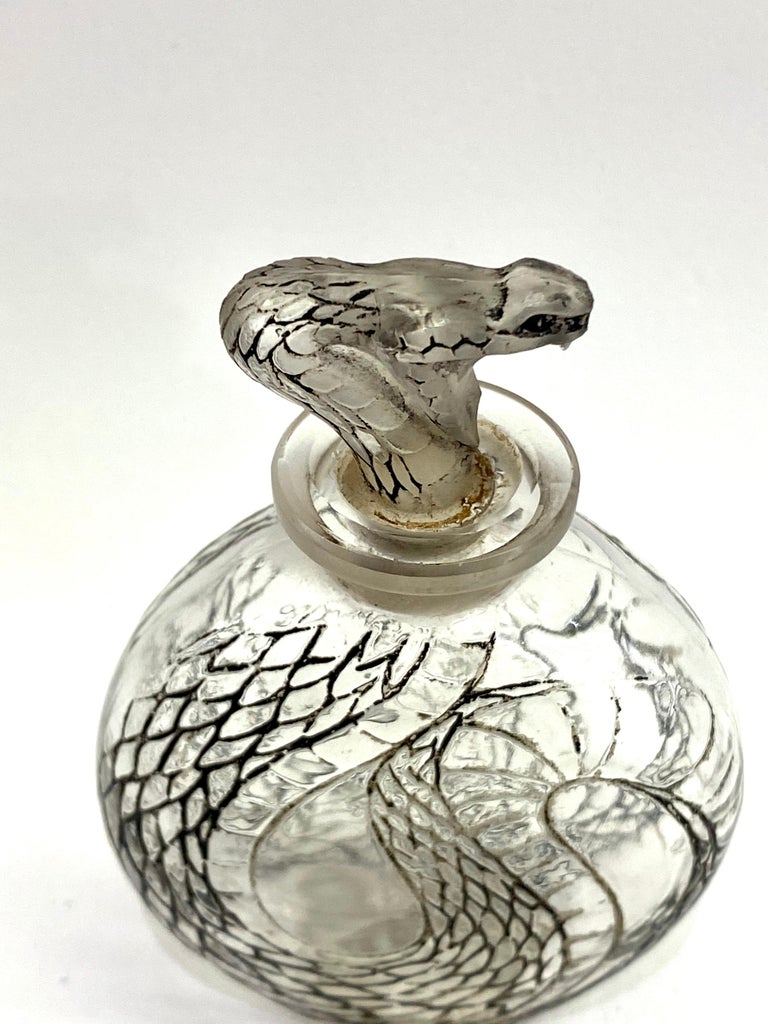 1920 Rene Lalique Serpent Perfume Bottle Clear Glass with Black Patina ...