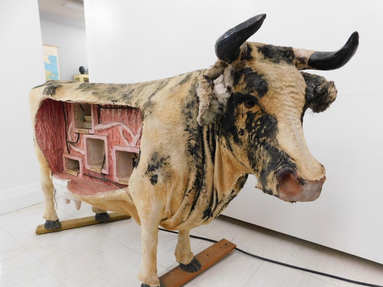 1920s Early Animatronic Motion Teaching Model Cow Movie Prop at 1stDibs