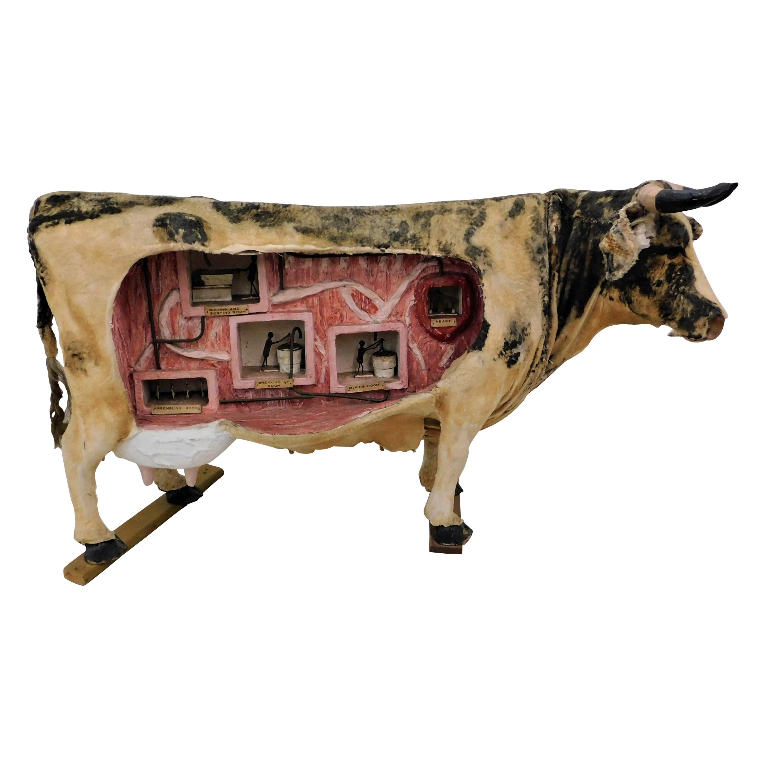 1920s Early Animatronic Motion Teaching Model Cow Movie Prop at 1stDibs