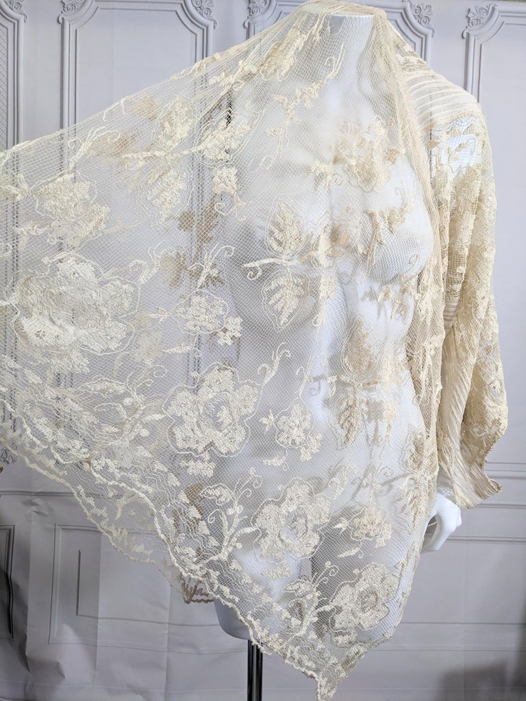 1920's Filet Lace and Chiffon Dress For Sale at 1stDibs