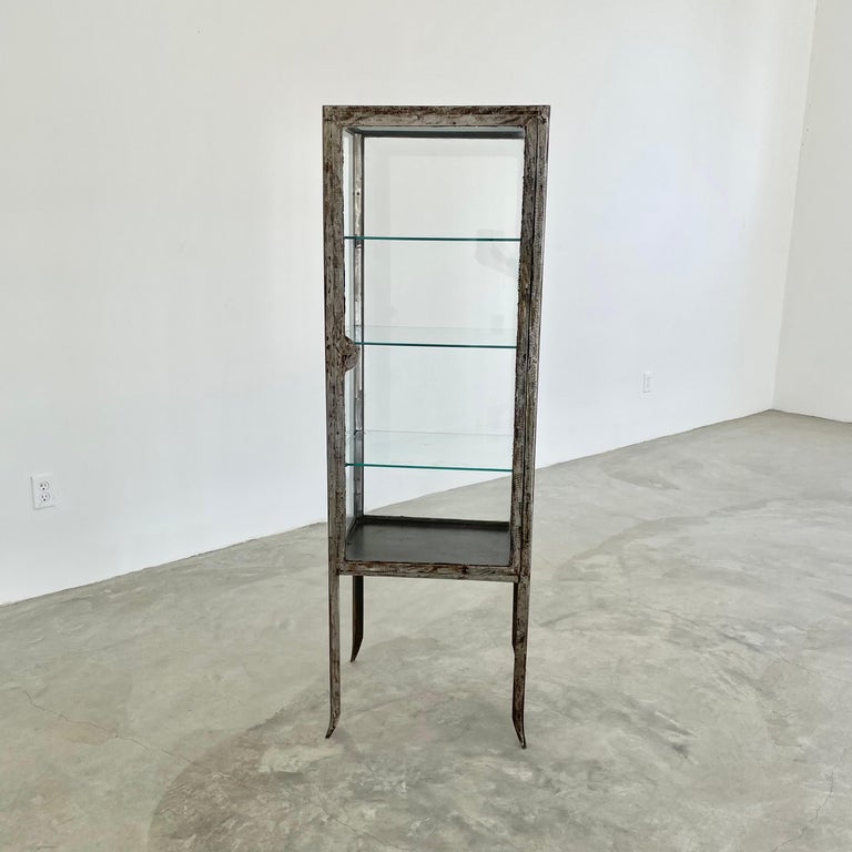 1920s Iron and Glass Vitrine For Sale at 1stDibs