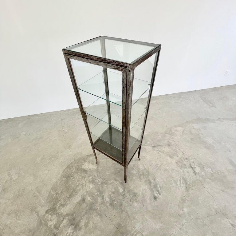 1920s Iron and Glass Vitrine For Sale at 1stDibs