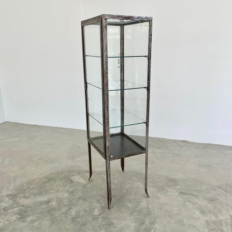 1920s Iron and Glass Vitrine For Sale at 1stDibs
