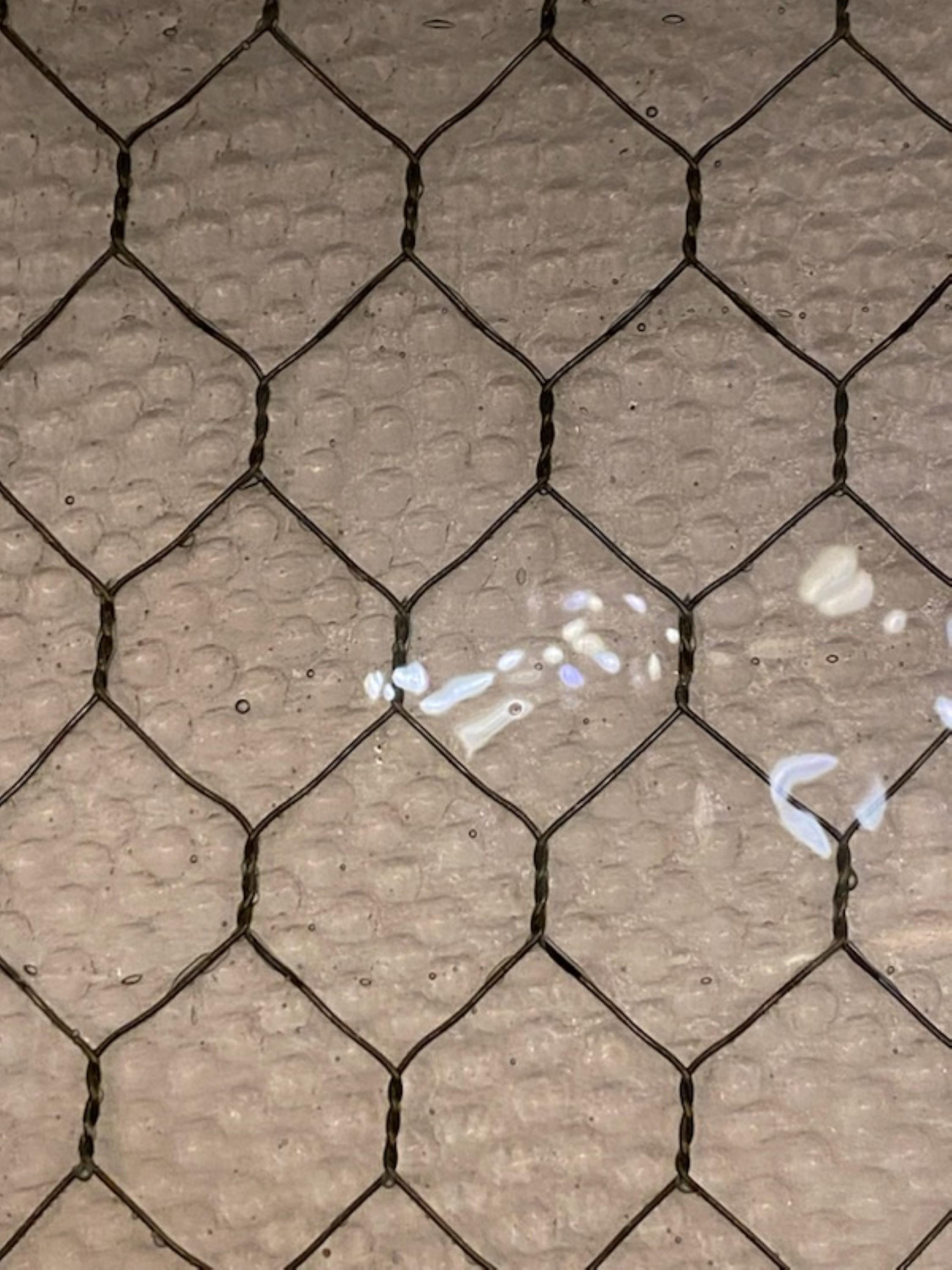 1920s 'Pebbled' Vintage Chicken Wire Glass Custom Order James 2 at 1stDibs