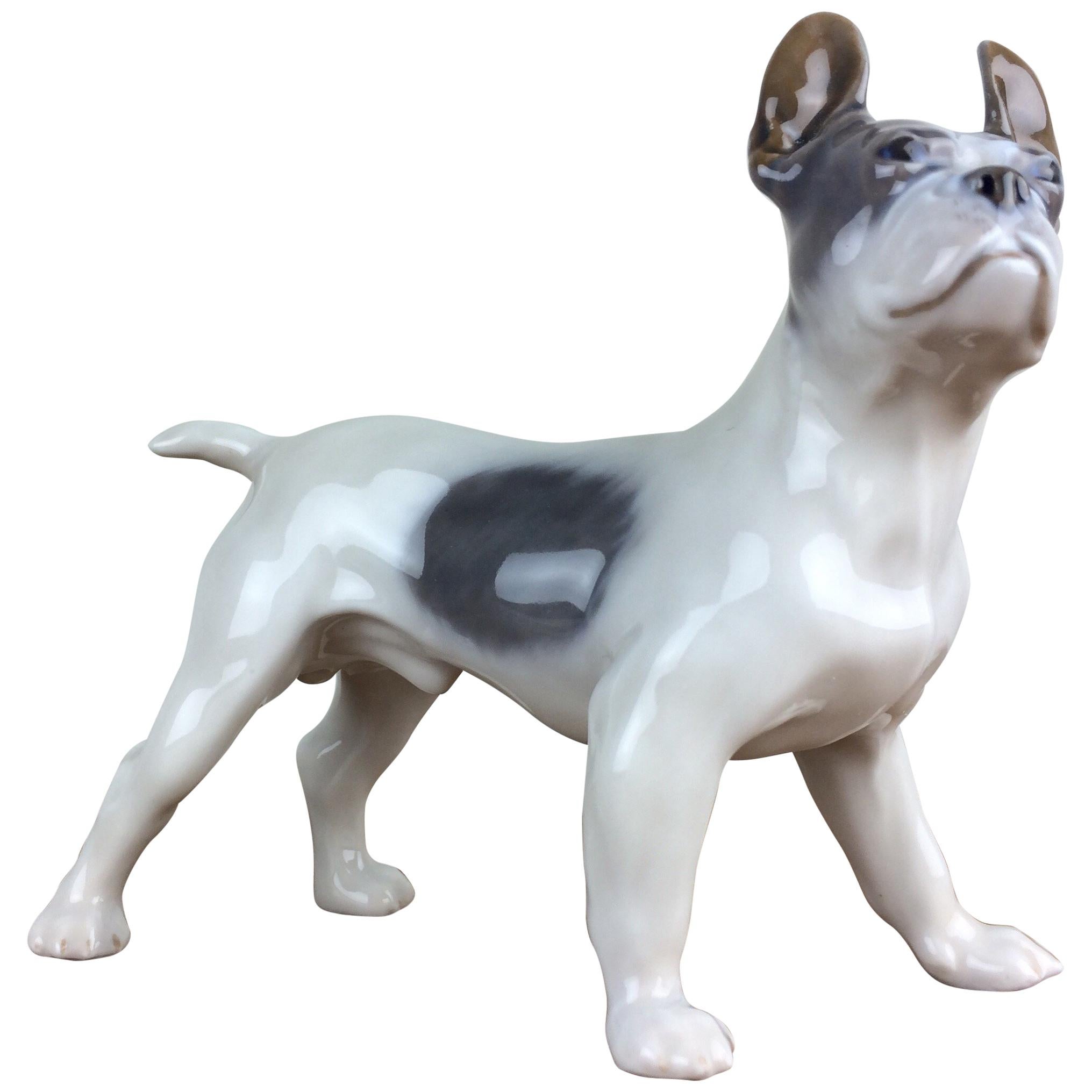 1920s Royal Copenhagen Porcelain Bulldog, Denmark For Sale at 1stDibs ...