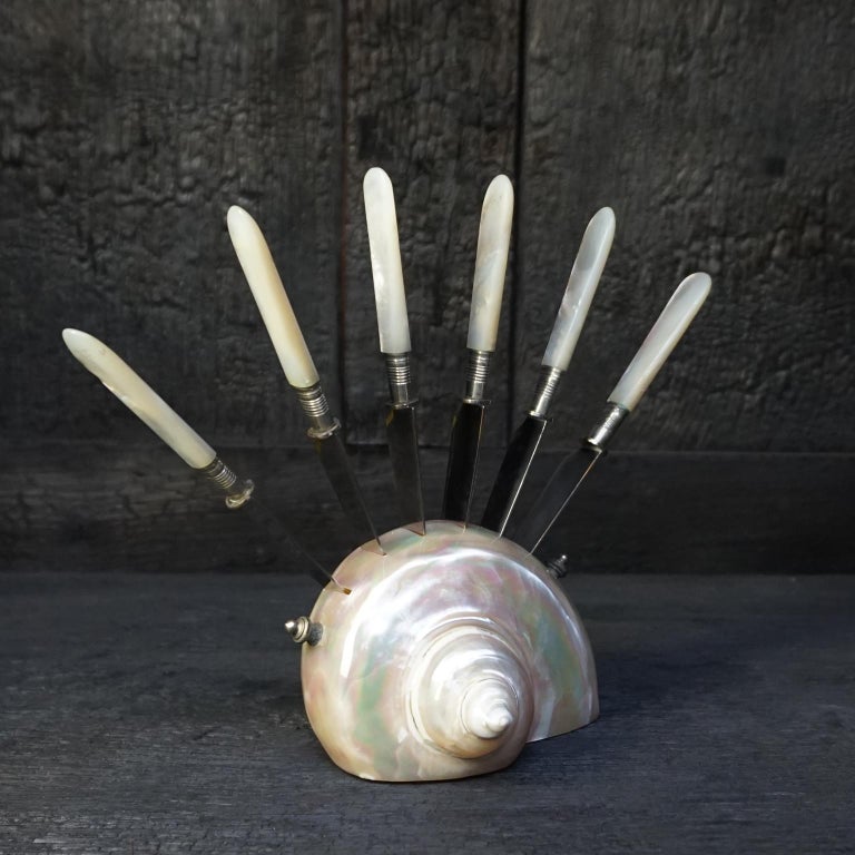 1920s Set of Six Fruit Knives in a Large Polished 'Turbo Marmoratus ...