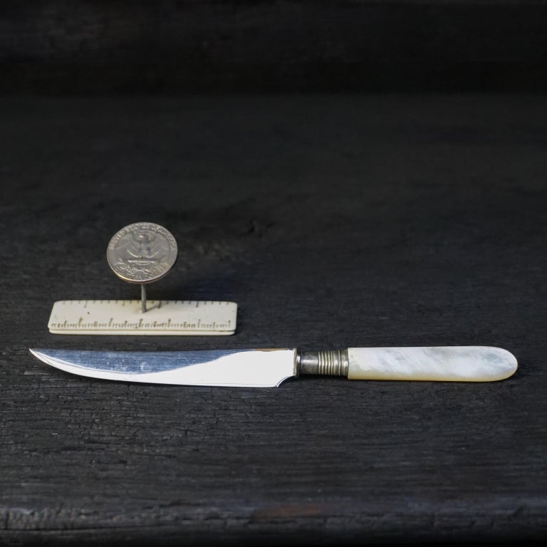 1920s Set of Six Fruit Knives in a Large Polished 'Turbo Marmoratus ...