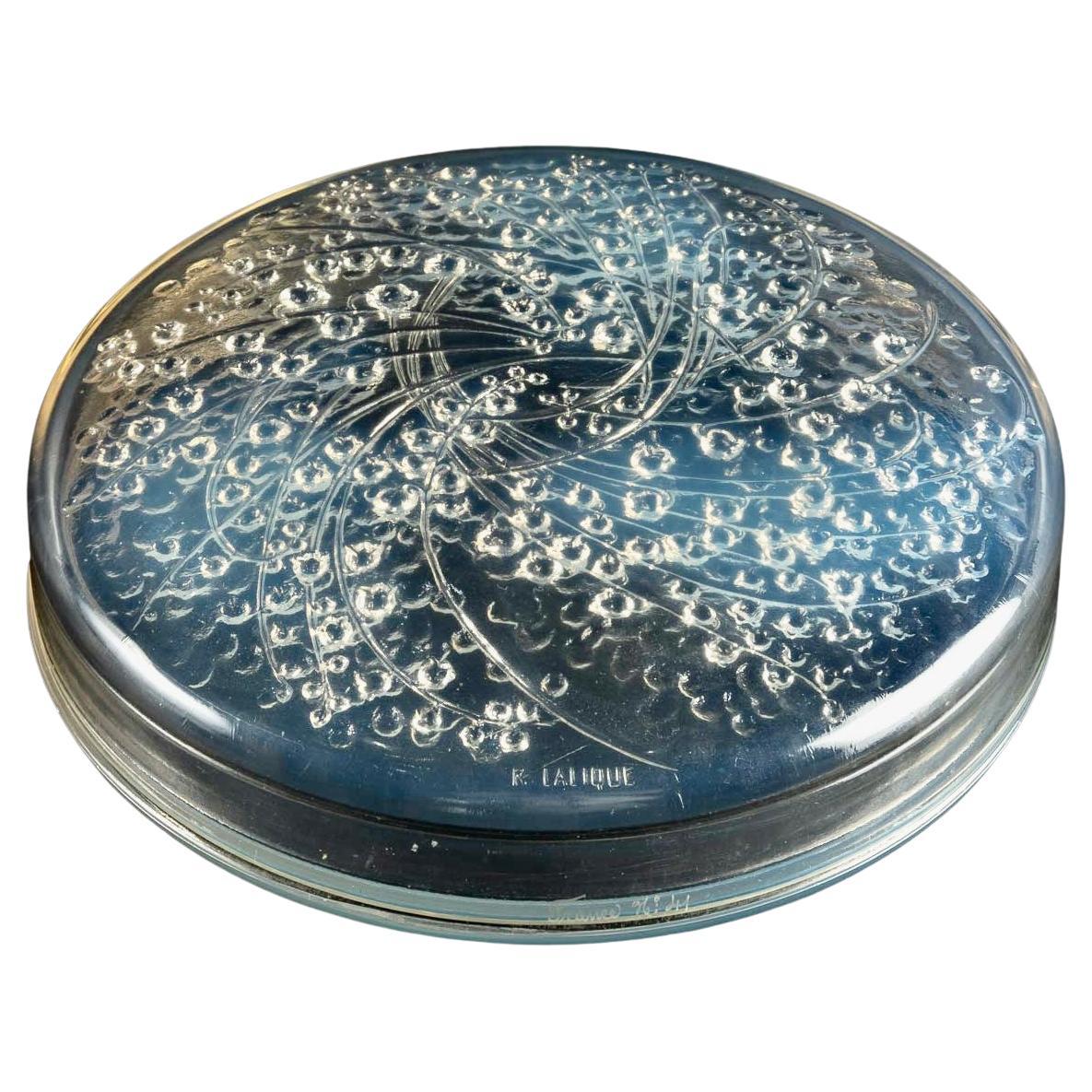 Rene Lalique Opalescent Glass Coquilles Box For Sale at 1stDibs