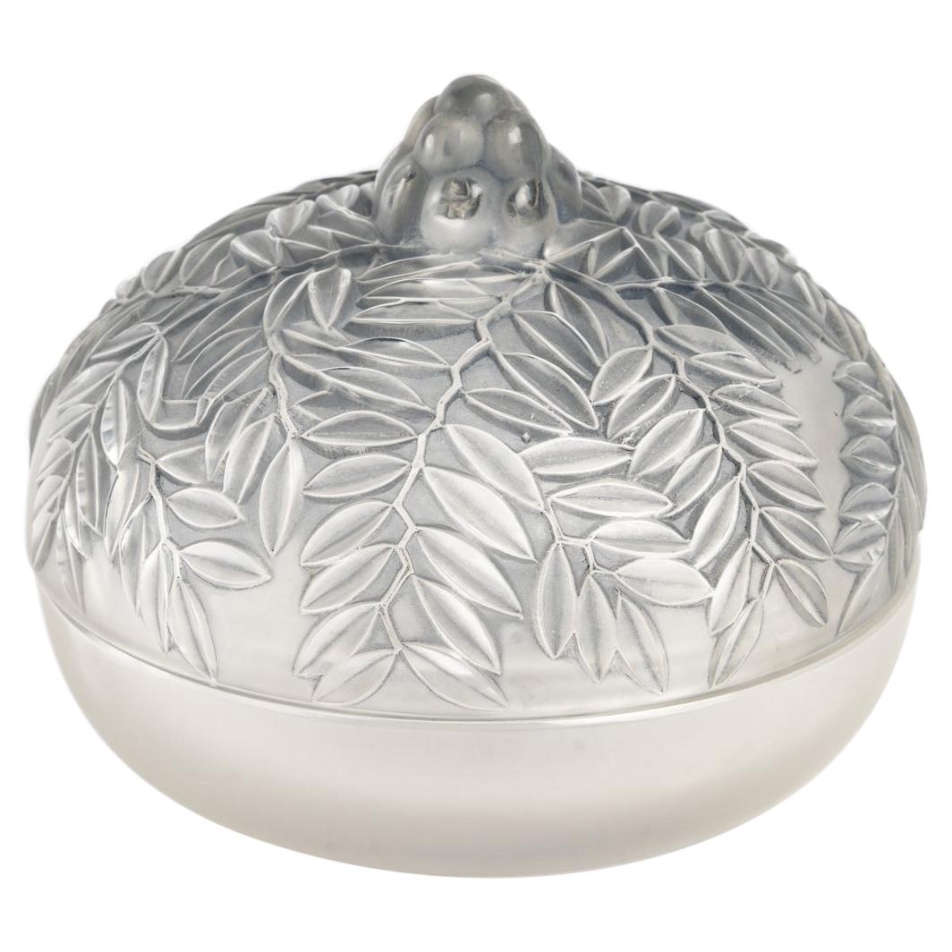 1928 René Lalique Box Vallauris Frosted Glass with Blue-Grey Patina at ...